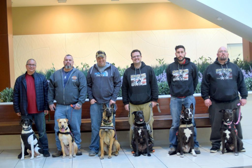 Operational Partner Spotlight: Semper Fido - K9 Basics - Patriot Fund