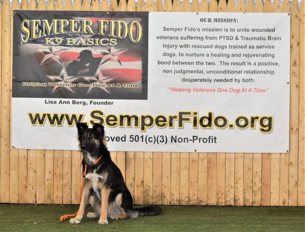 Operational Partner Spotlight: Semper Fido - K9 Basics - Patriot Fund