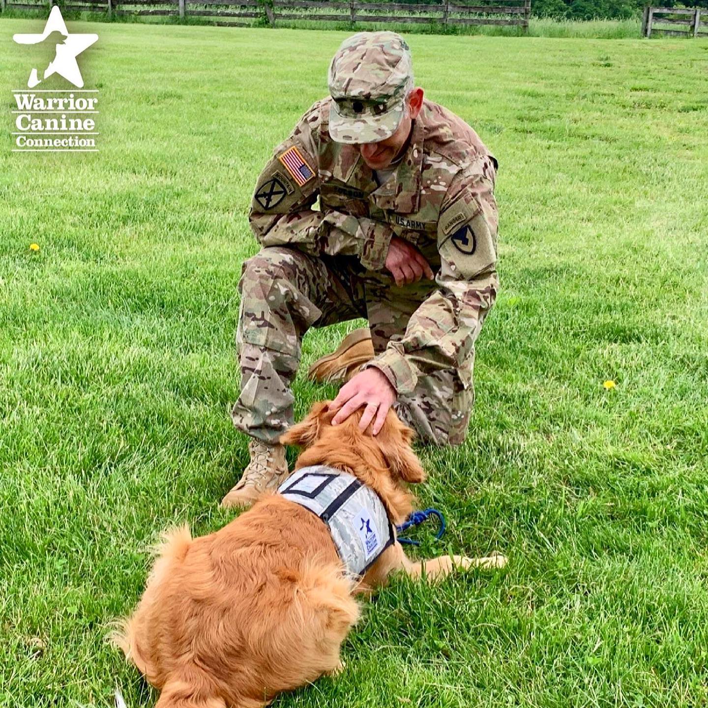 Operational Partner Spotlight: Warrior Canine Connection - Patriot Fund