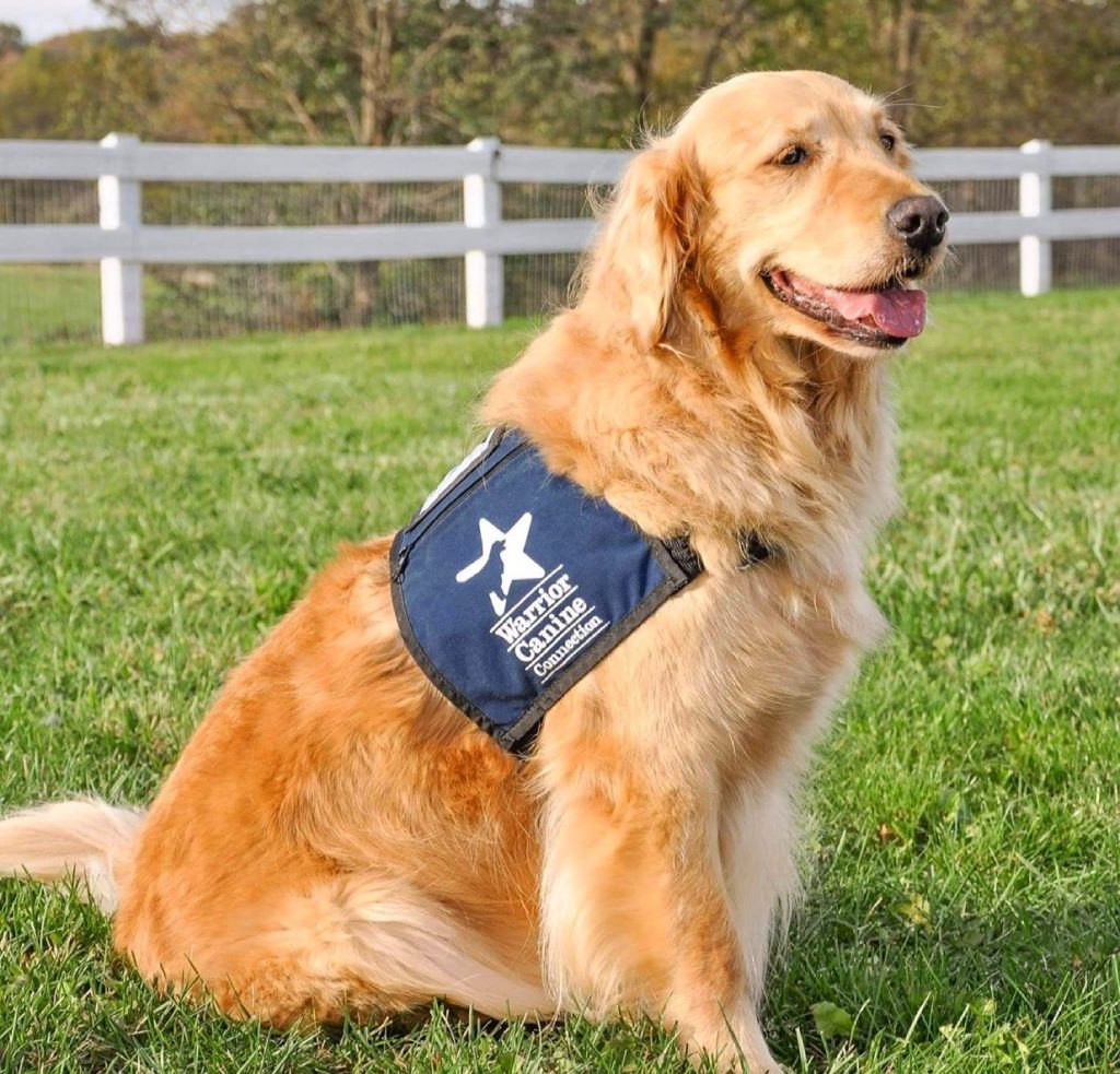 Operational Partner Spotlight: Warrior Canine Connection - Patriot Fund
